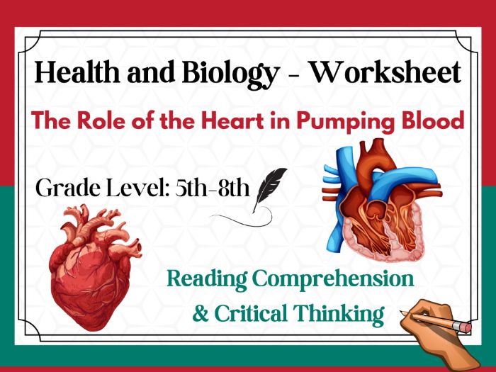 The Role of the Heart in Pumping Blood: Reading Comprehension Passages ...