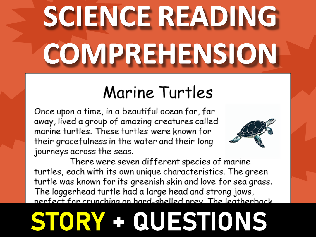 Marine Turtles Reading Science Story Comprehension Questions Worksheet ...