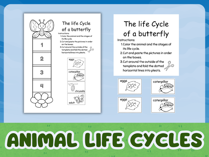 Animal Life Cycles - A Cut and Paste Activity for Kids | Teaching Resources