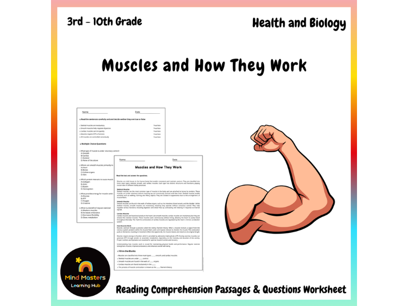 Muscles and How They Work Reading Comprehension Passages & Questions ...