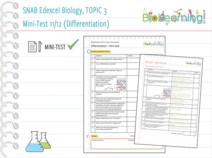 Differentiation - Mini-test (KS5) | Teaching Resources
