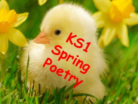 Blossoming Minds - Teaching Resources - TES