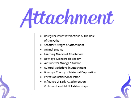 A-Level Psychology Attachment Notes | Teaching Resources