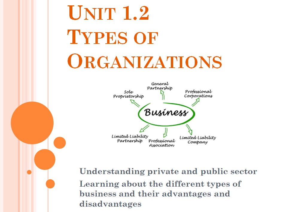 IB Business Management 1.2 Types of organisation | Teaching Resources