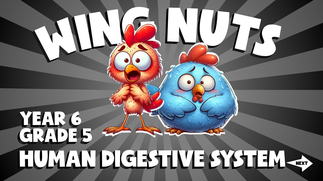 Human Digestive System WING NUTS Science Game | No-Prep Year 6 Review ...