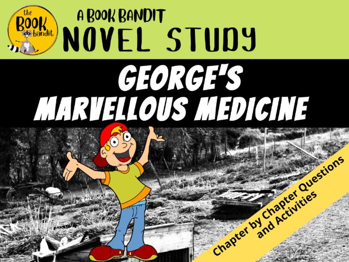 GEORGE'S MARVELLOUS MEDICINE Novel Study and Reading Comprehension ...