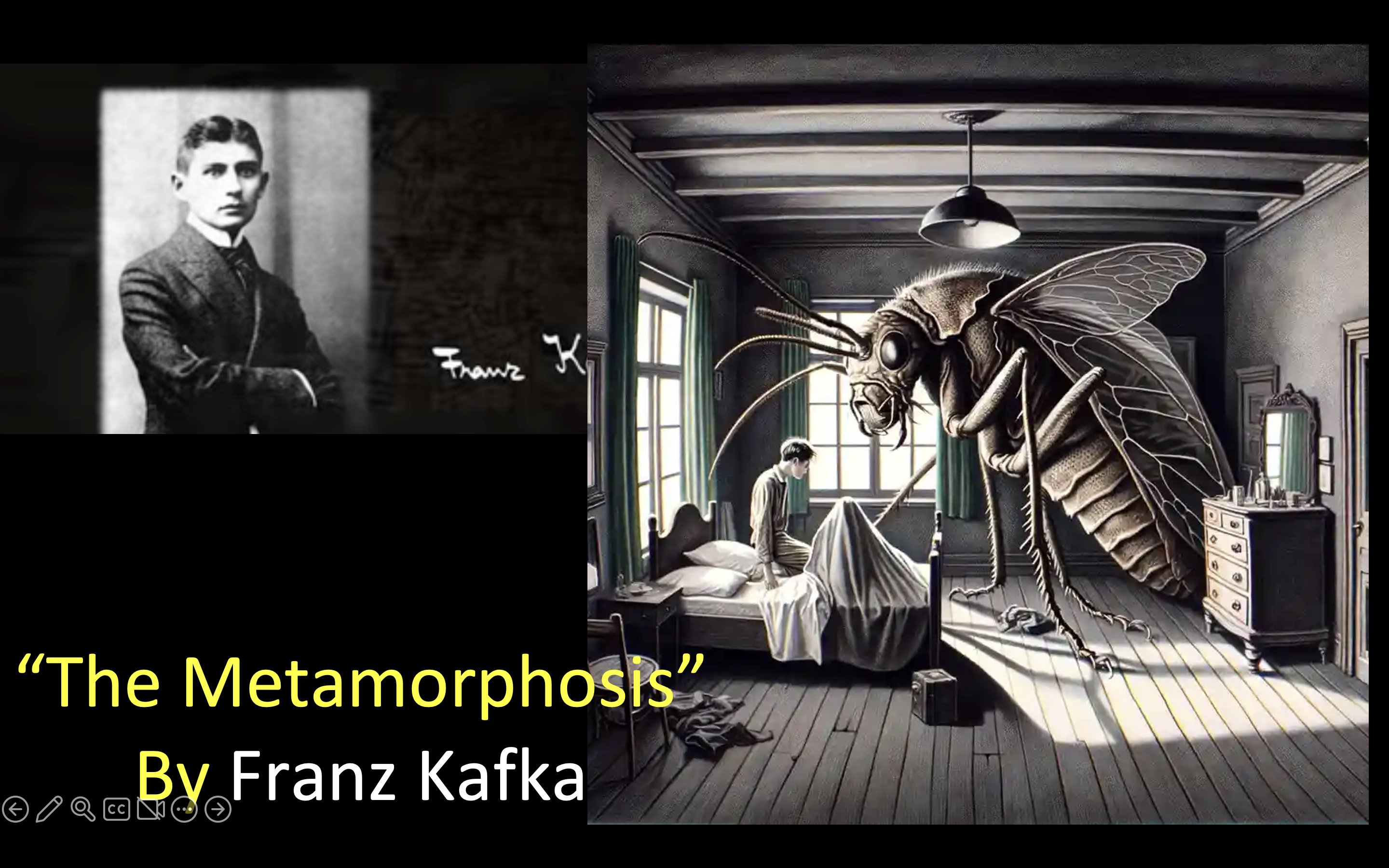 Kafka Metamorphosis for International Baccalaureate (IB) Language A ...