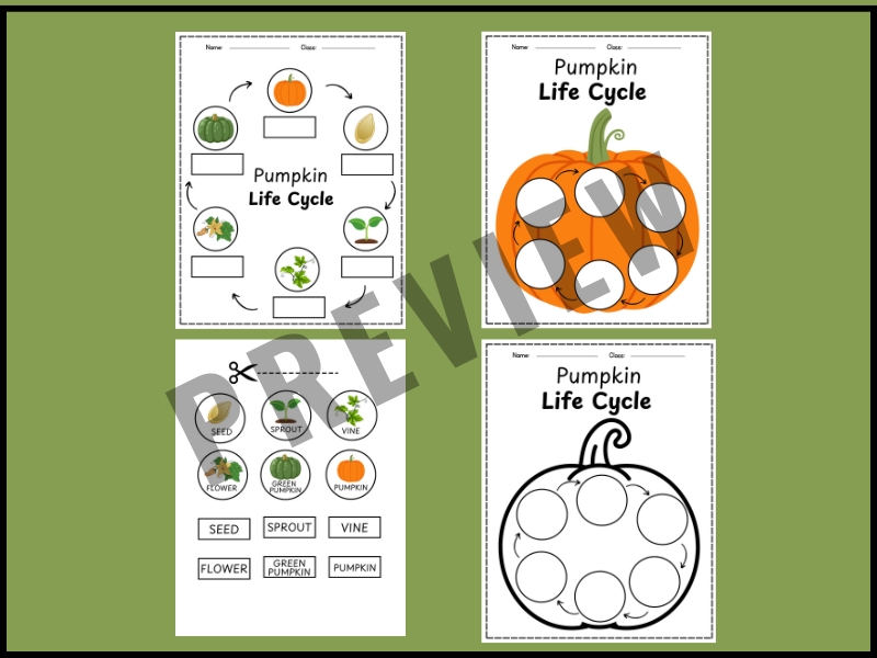 Pumpkin Life Cycle Craft Kindergarten | Life Cycle of a Pumpkin Craft ...
