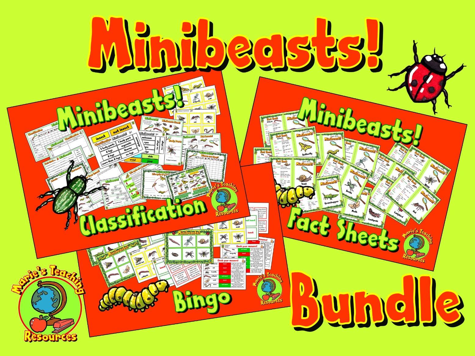 Whole-school minibeasts resources