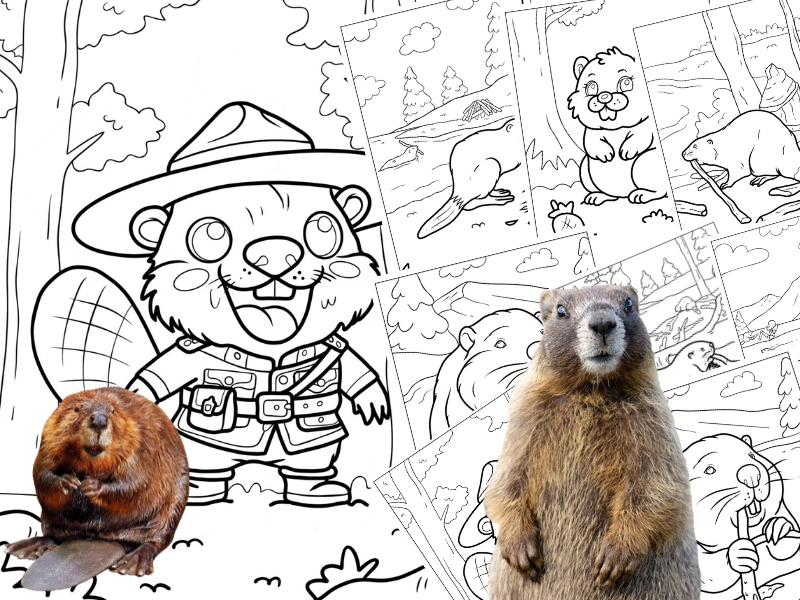 Explore Nature with Beaver Printable Coloring Pages – Fun and ...