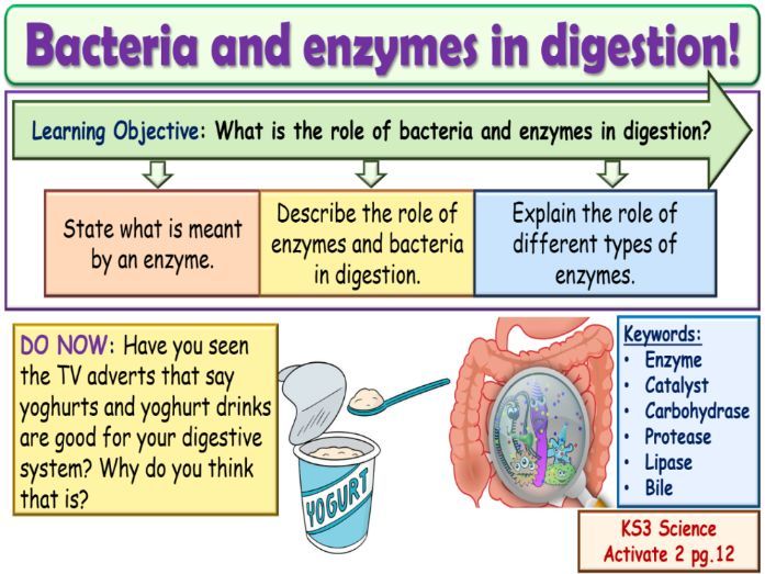 Activate 2 KS3 Biology Bundle | Teaching Resources