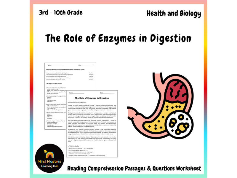 The Role of Enzymes in Digestion Reading Comprehension Passages ...