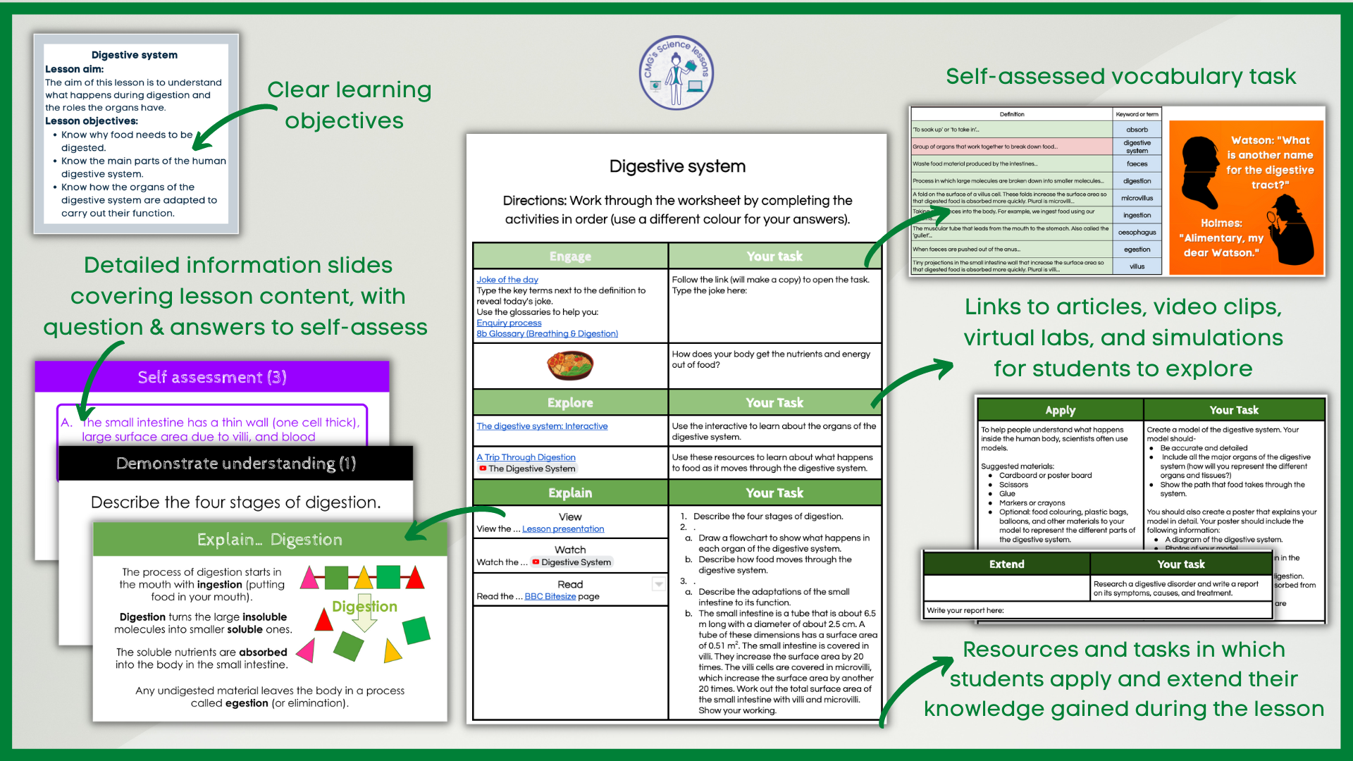 Digestive system Distance learning | Teaching Resources