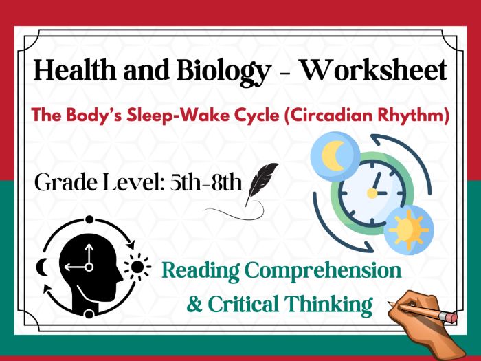 The Body’s Sleep-Wake Cycle (Circadian Rhythm): Reading Comprehension ...