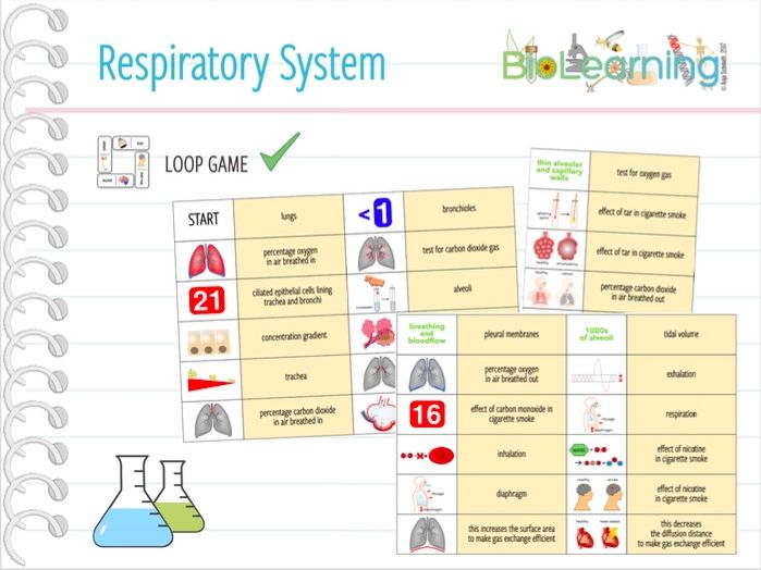 Science Games Respiratory System at Lynda Austin blog