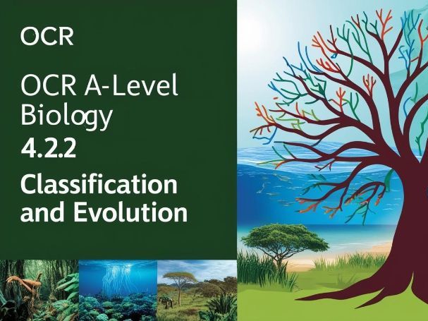 OCR A-level biology 4.2.2 Classification and evolution Whole topic ...