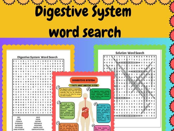 Human Body Systems | Digestive System | Facts and Word Search ...