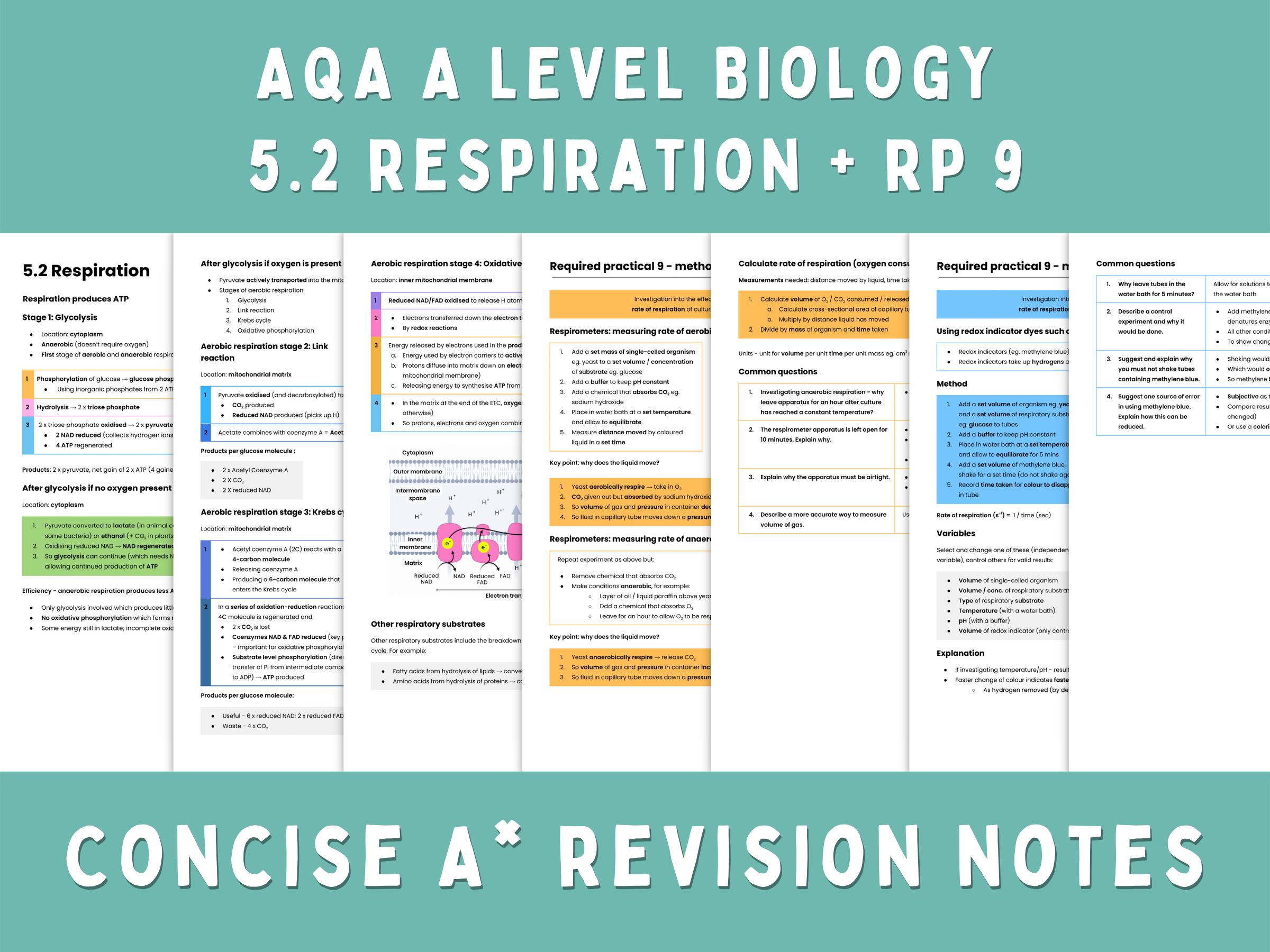 NEW 5.2 Respiration + required practical 9 AQA A Level Biology advanced information paper 2 ...