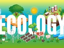Ecology Notes A level Biology | Teaching Resources