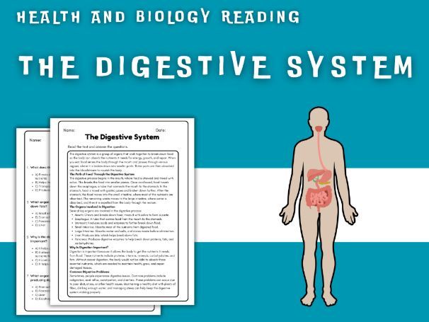 The Digestive System - Health Reading Worksheet | Teaching Resources
