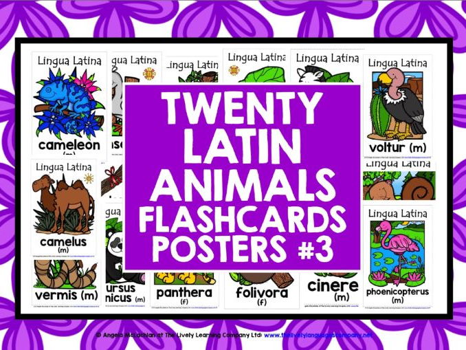 Secondary latin language and literature resources