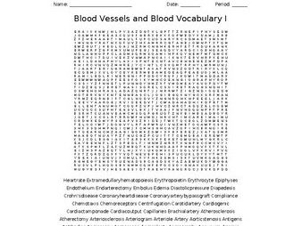 Blood Vessels and Blood Vocabulary I Word Search for Medical ...