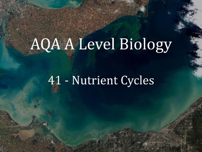 AQA A Level Biology Lecture 41 - Nutrient Cycles | Teaching Resources