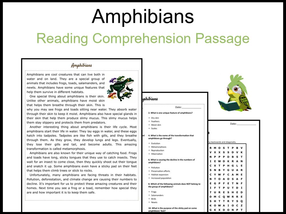 Amphibians Reading Comprehension and Word Search | Teaching Resources