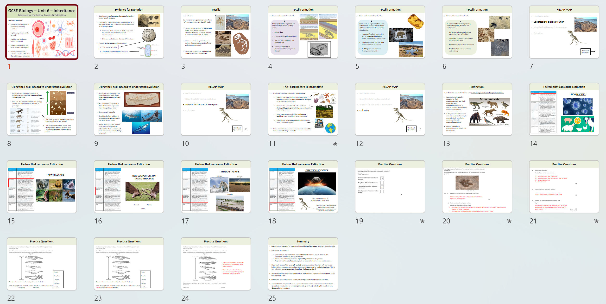 GCSE Biology - Fossils | Teaching Resources