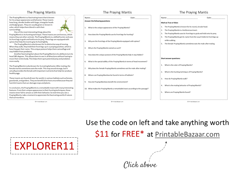 The Praying Mantis Reading Comprehension Passage Printable Worksheet ...