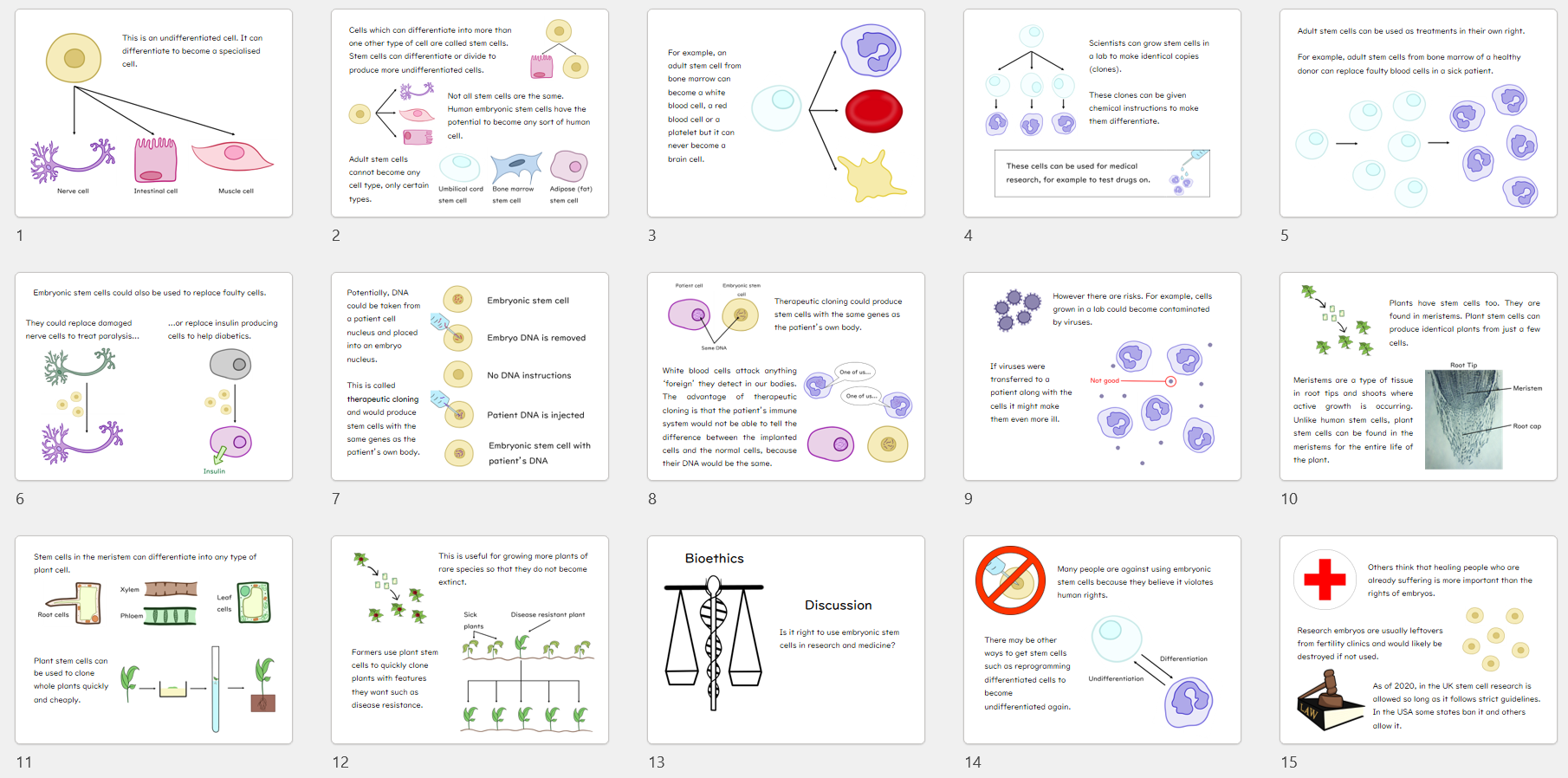 Stem Cells Supplementary Slides and Worksheet (GCSE Biology AQA) | Teaching Resources