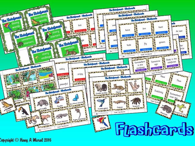 Primary cross-curricular topics teaching resources: Rainforest | TES