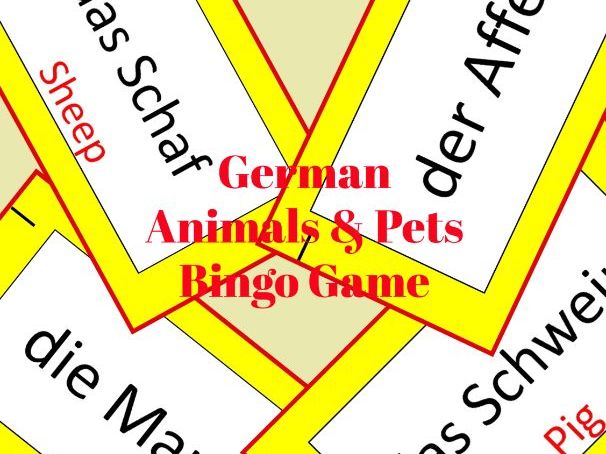German Animals and Pets Bingo Game Activity | Teaching Resources