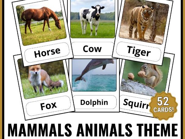 Mammals Animal Classification Flashcards, ESL Vocabulary Photo Picture ...