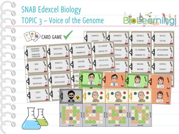 SNAB Biology Topic 3 - Keyword Game | Teaching Resources