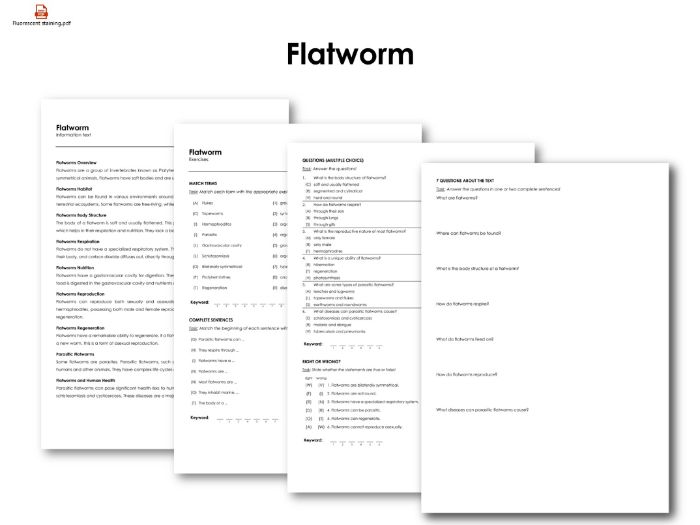 Flatworm | Teaching Resources