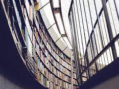 Les ados, le droit de vote et l’engagement politique | Teaching Resources