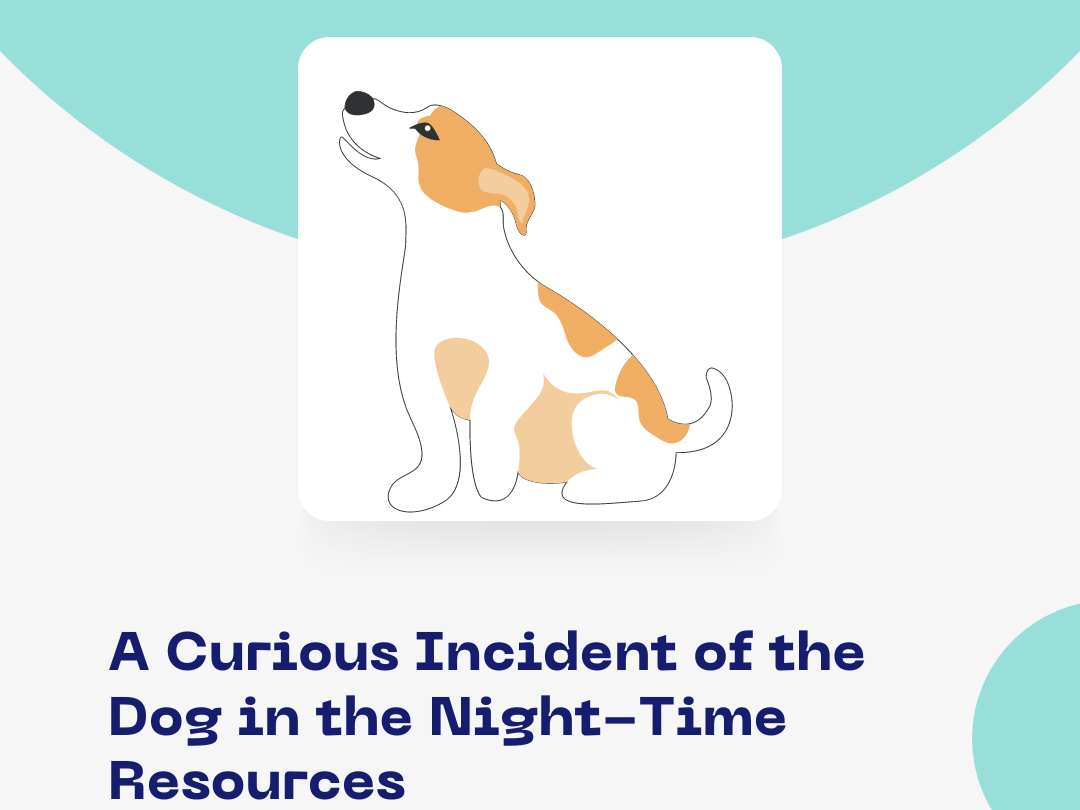 A Curious Incident of the Dog in the Night-time Bundle | Teaching Resources
