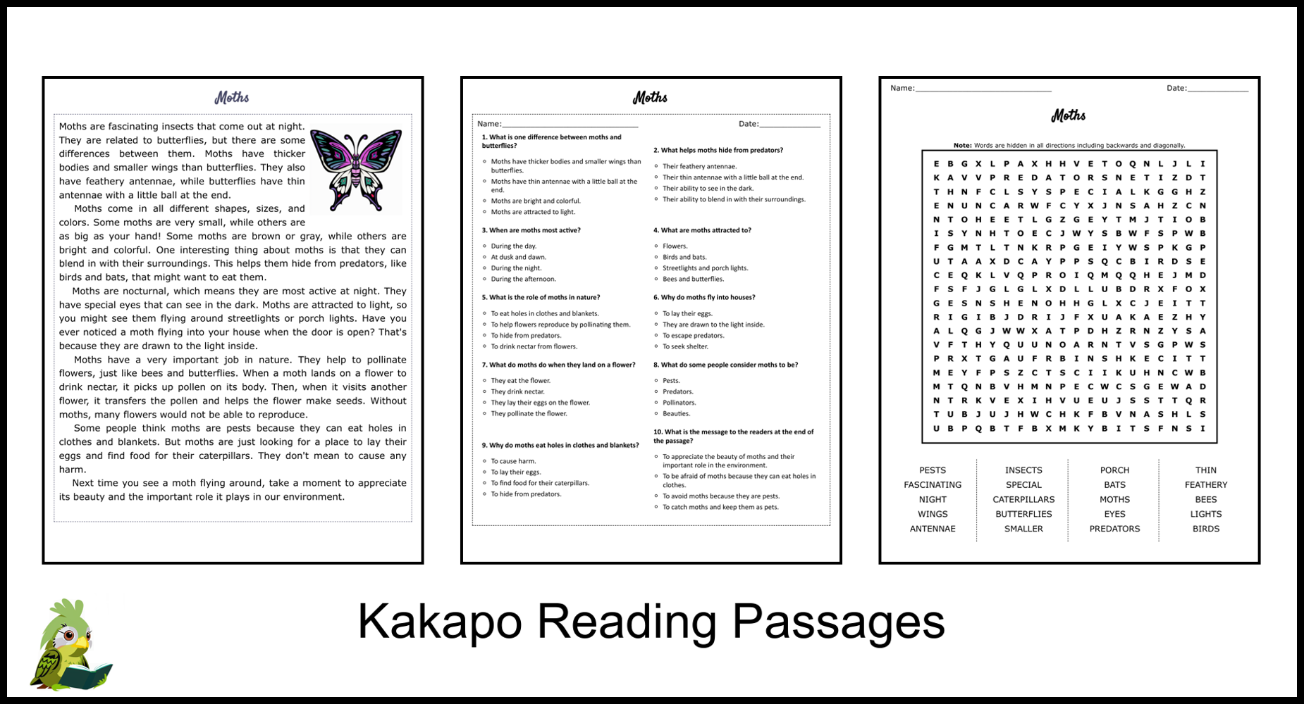 Moths Reading Comprehension and Word Search | Teaching Resources