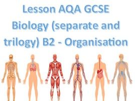 Lesson_AQA GCSE_Bio_Food tests practical | Teaching Resources