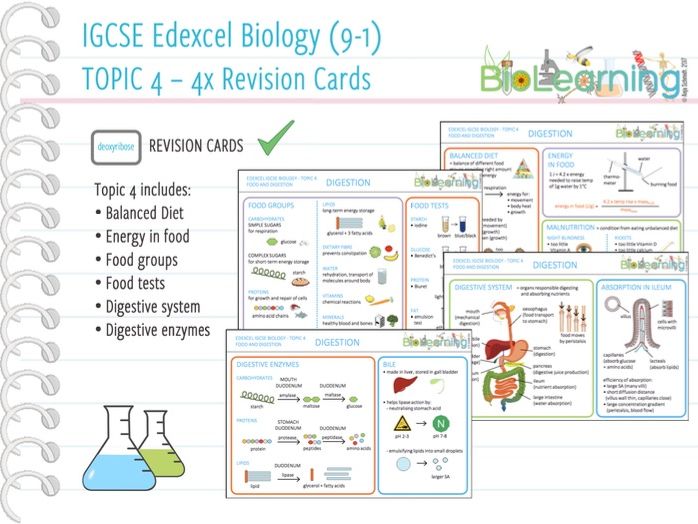 IGCSE Biology (9-1) - 52x Revision Cards (KS4) | Teaching Resources