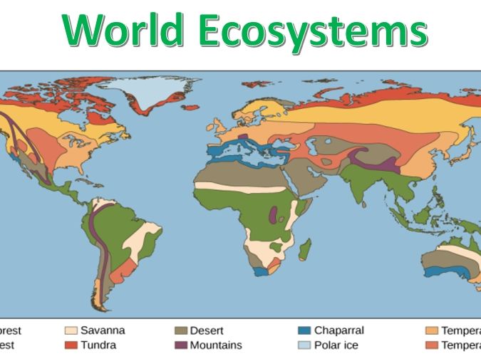 Primary Teaching Resources: Activities for KS1 and KS2 | Tes