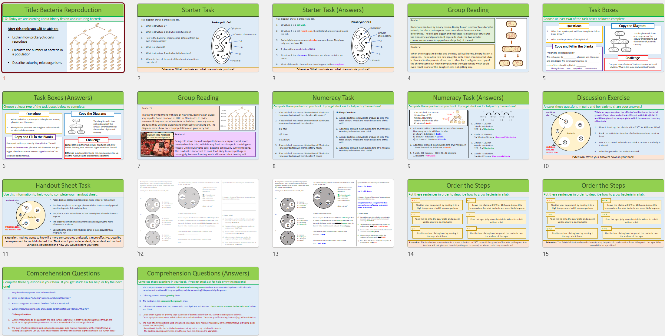 Bacteria Reproduction Lesson GCSE Biology | Teaching Resources
