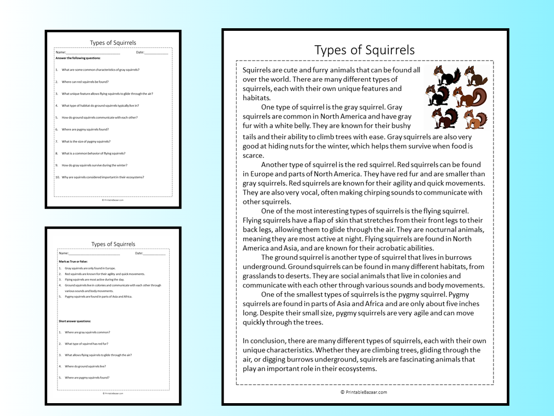 Types of Squirrels Reading Comprehension Passage Printable Worksheet ...