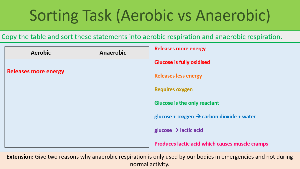 Anaerobic Respiration Lesson GCSE Biology | Teaching Resources