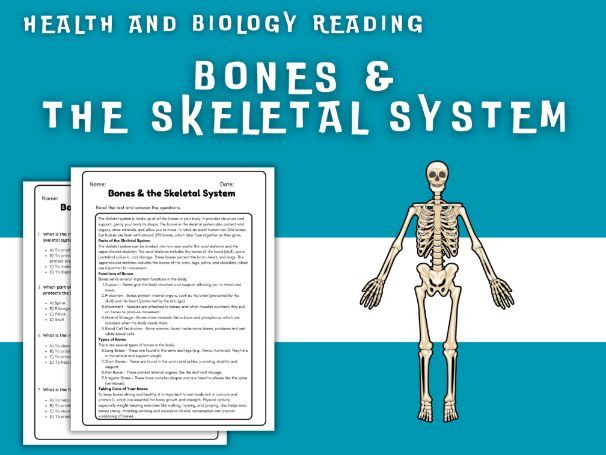 Bones and the Skeletal System - Health Reading Worksheet | Teaching ...