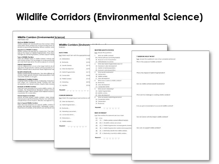 Wildlife Corridors (Environmental Science) | Teaching Resources
