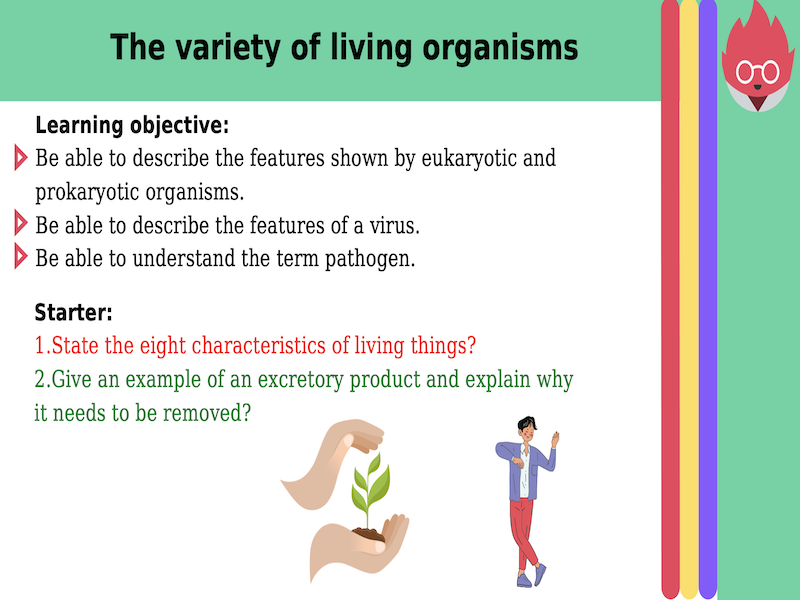 IGCSE Edexcel Biology (9-1) Eukaryotic and Prokaryotic organisms ...