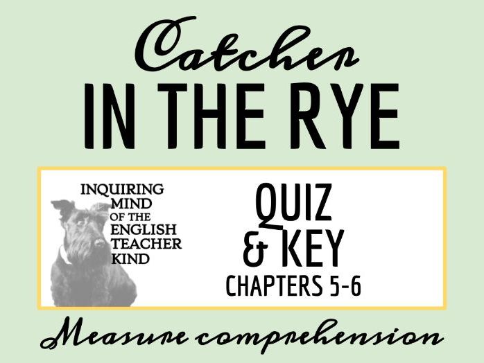 Catcher in the Rye Quiz Bundle | Teaching Resources