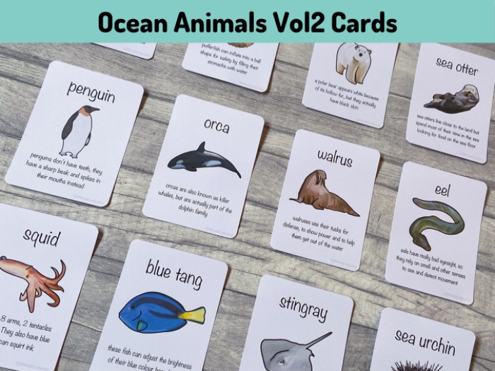 Ocean Animal Cards Volume 2 | Teaching Resources